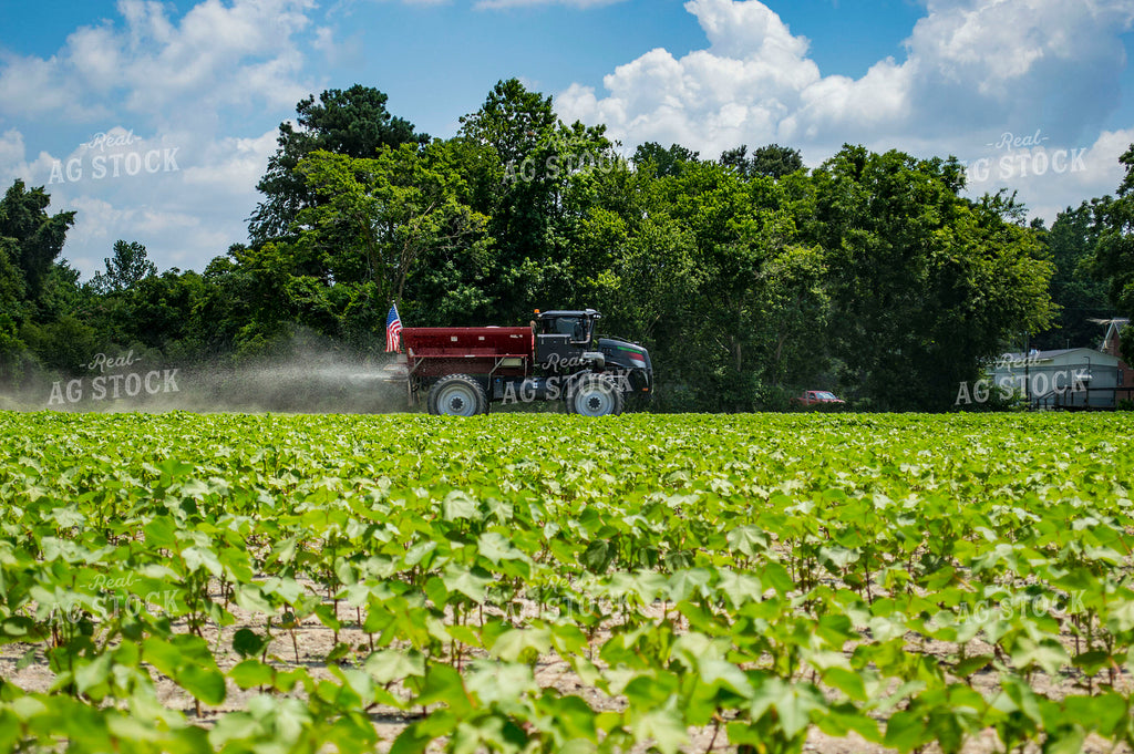 Spreading Dry Fertilizer in Cotton Field 136205 – Real Ag Stock