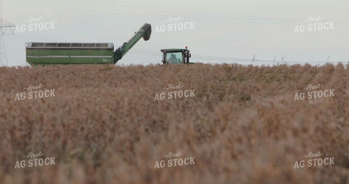 Grain Cart Pulling Alongside Combine Cutting Soybeans 3965 – Real Ag Stock
