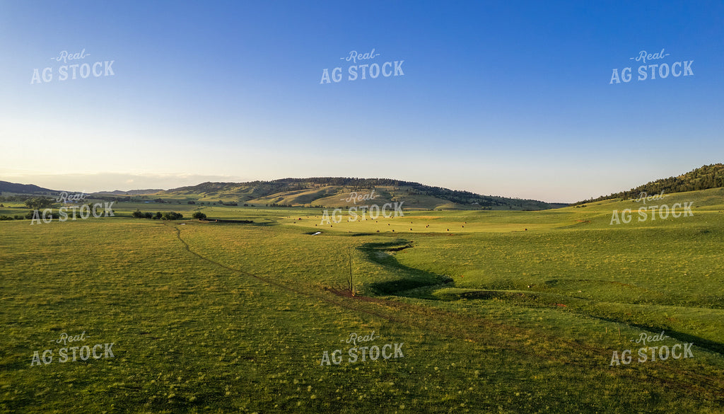 Rolling Field With Bales 92005 – Real Ag Stock