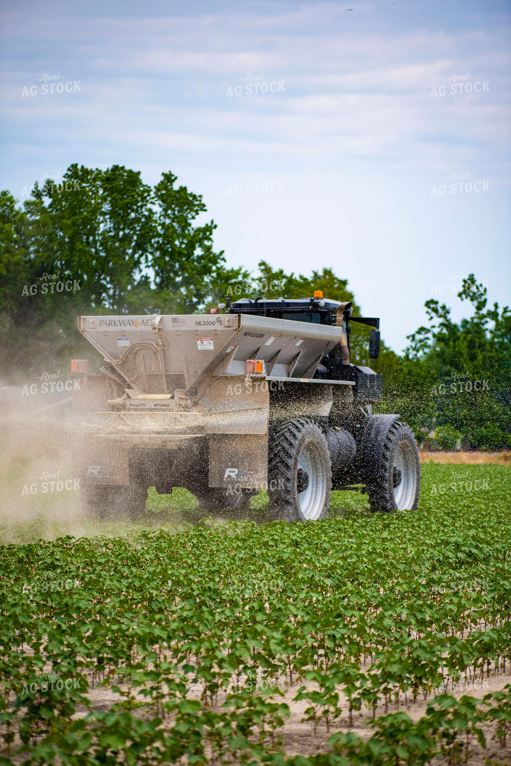 Spreading Dry Fertilizer in Cotton Field 136226 – Real Ag Stock