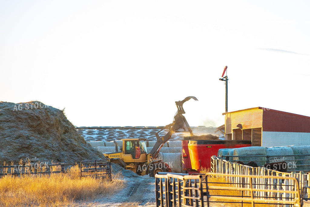 Mixing Cattle Feed 212095 – Real Ag Stock