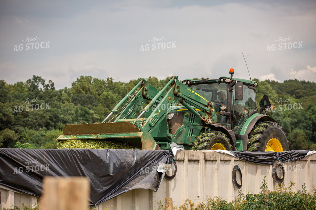 Storing Corn Silage 270603 – Real Ag Stock